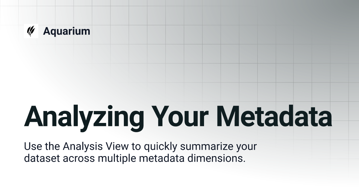 Analyzing Your Metadata | Aquarium Analyzing Your Metadata | Aquarium